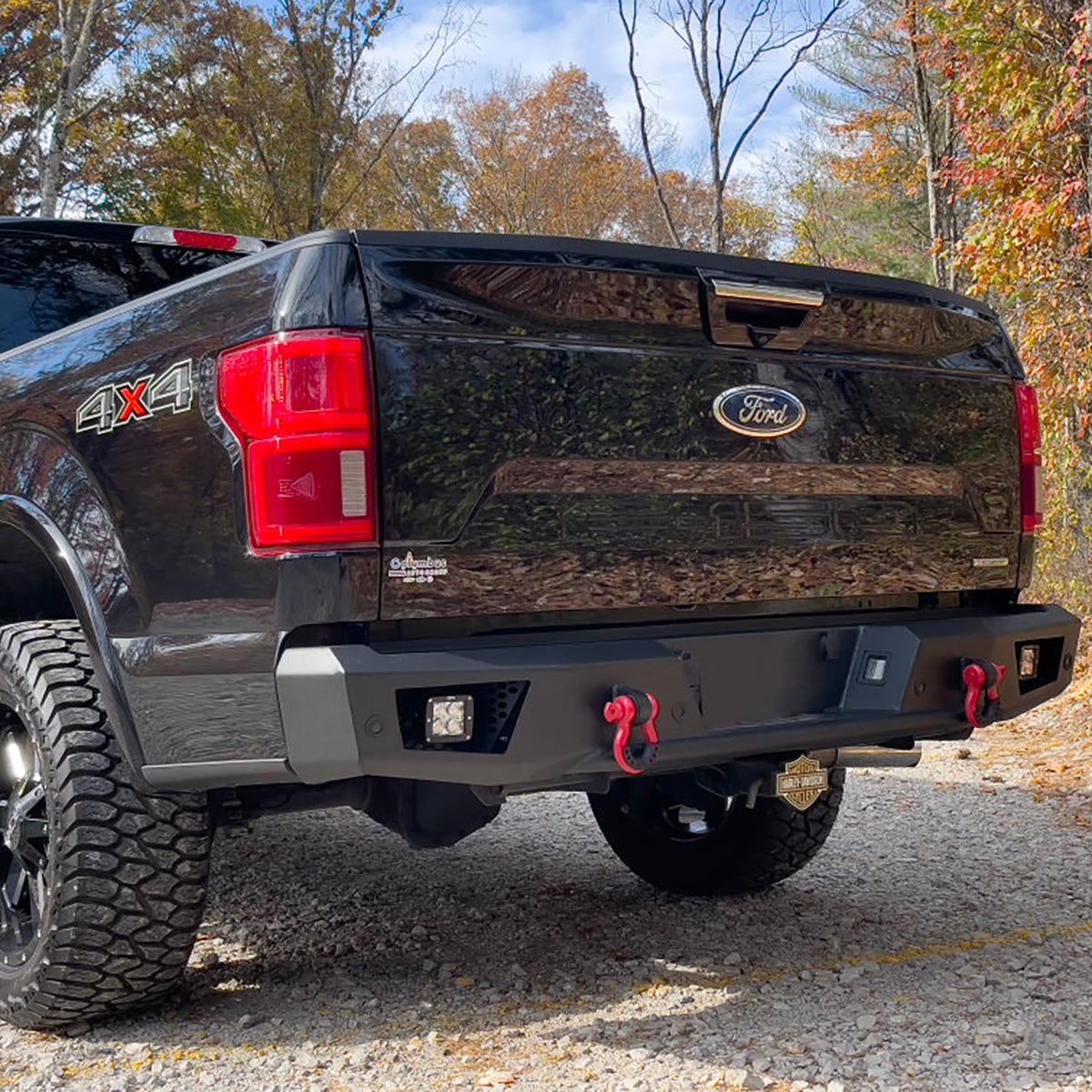 Ford F-150 Ambush Rear Bumper - Conquer Off-Road Challenges ...
