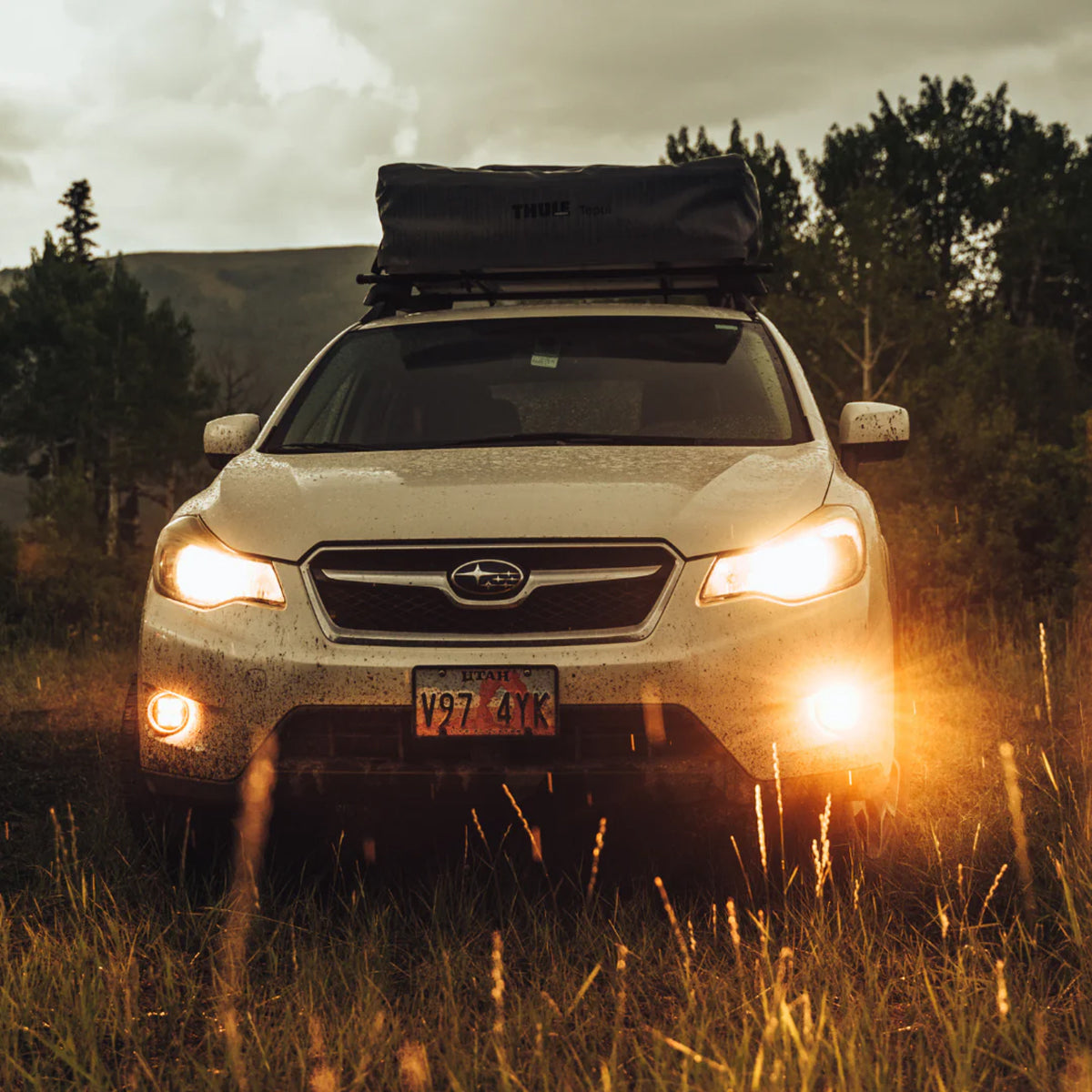 Subaru Crosstrek LED Fog Lights, Clear/Amber Lens, Quattro Light Pod ...